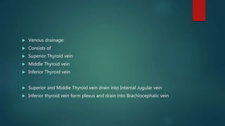 Thyroid Anatomy and embryology Simplified | PPTX