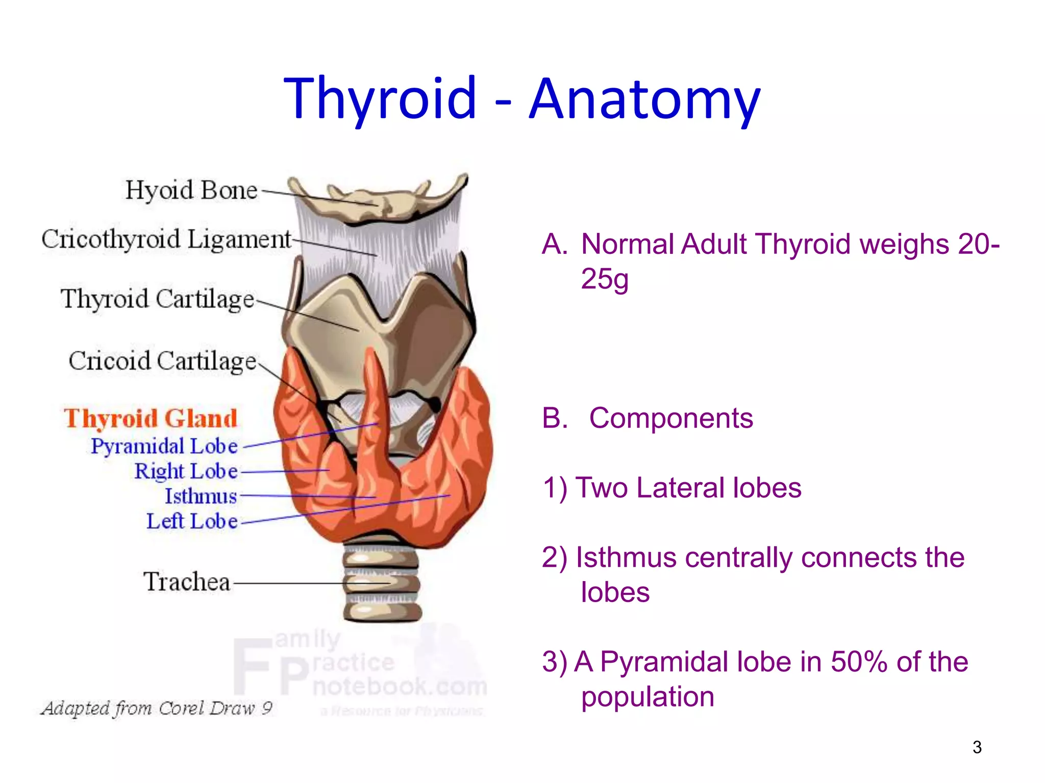 Thyroid anatomy,physiology,thyroid scintigraphy principles | PPTX