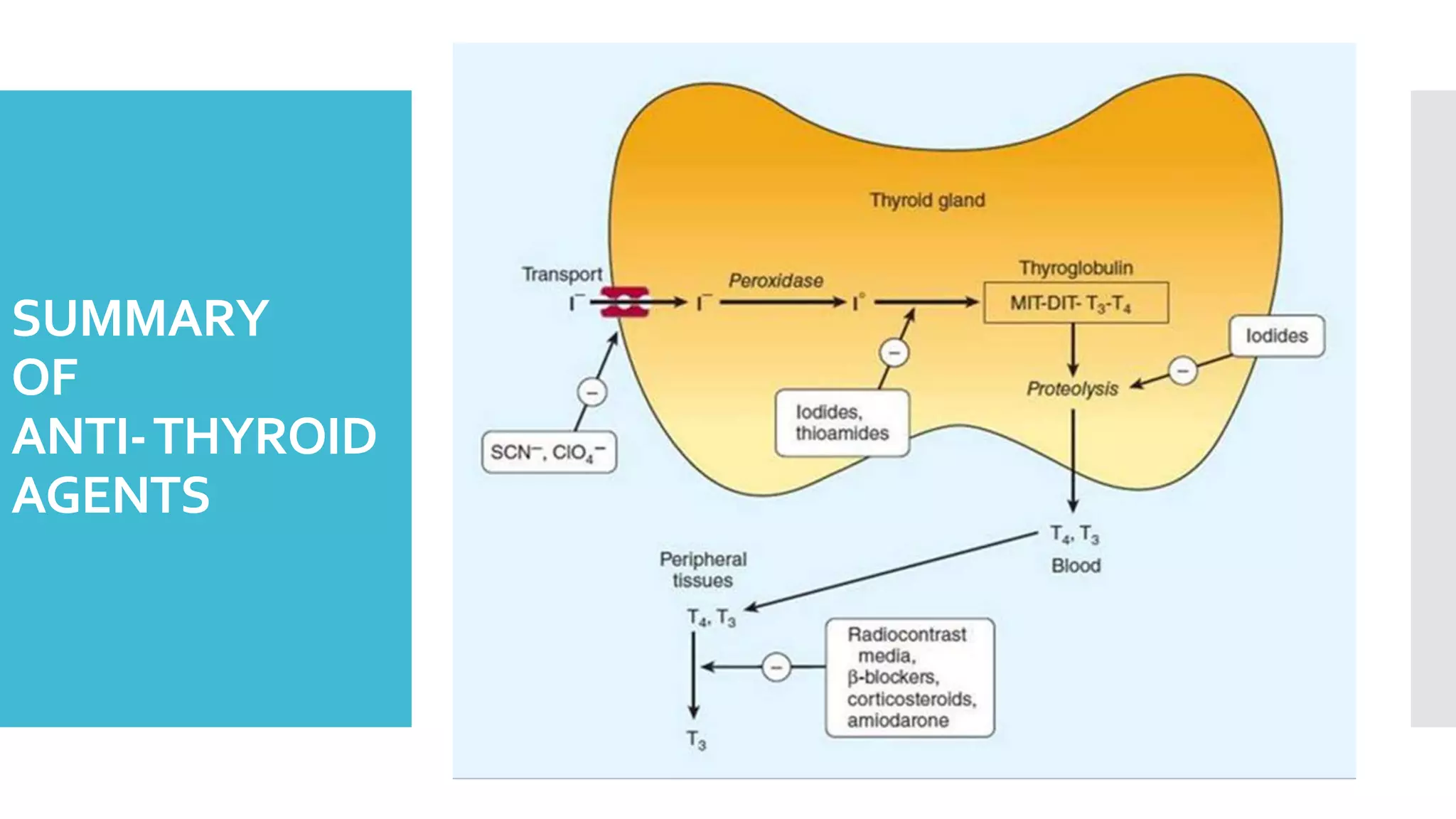 thyroid and anti-thyroid drugs.pptx