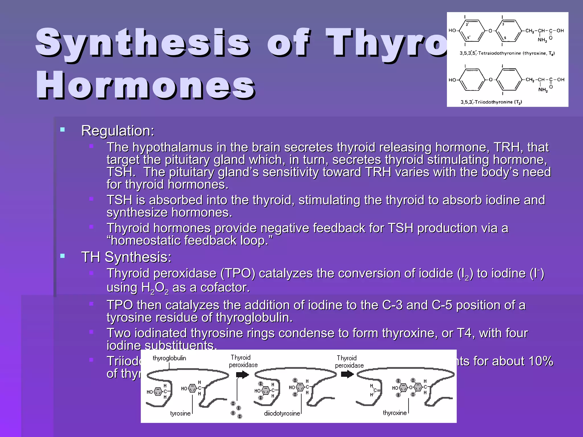 Thyroid+and+Anti-Thyroid | PPT