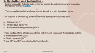 Thyroid and anti-thyroid drugs. Synthesis of thyroid hormone | PPTX