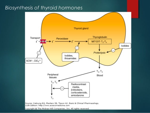 Thyroid+and+anti+thyroid+drugs eb3