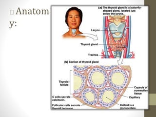 Thyroid and parathyroid | PPTX