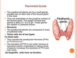 Thyroid and Parathyroid Gland | PPTX