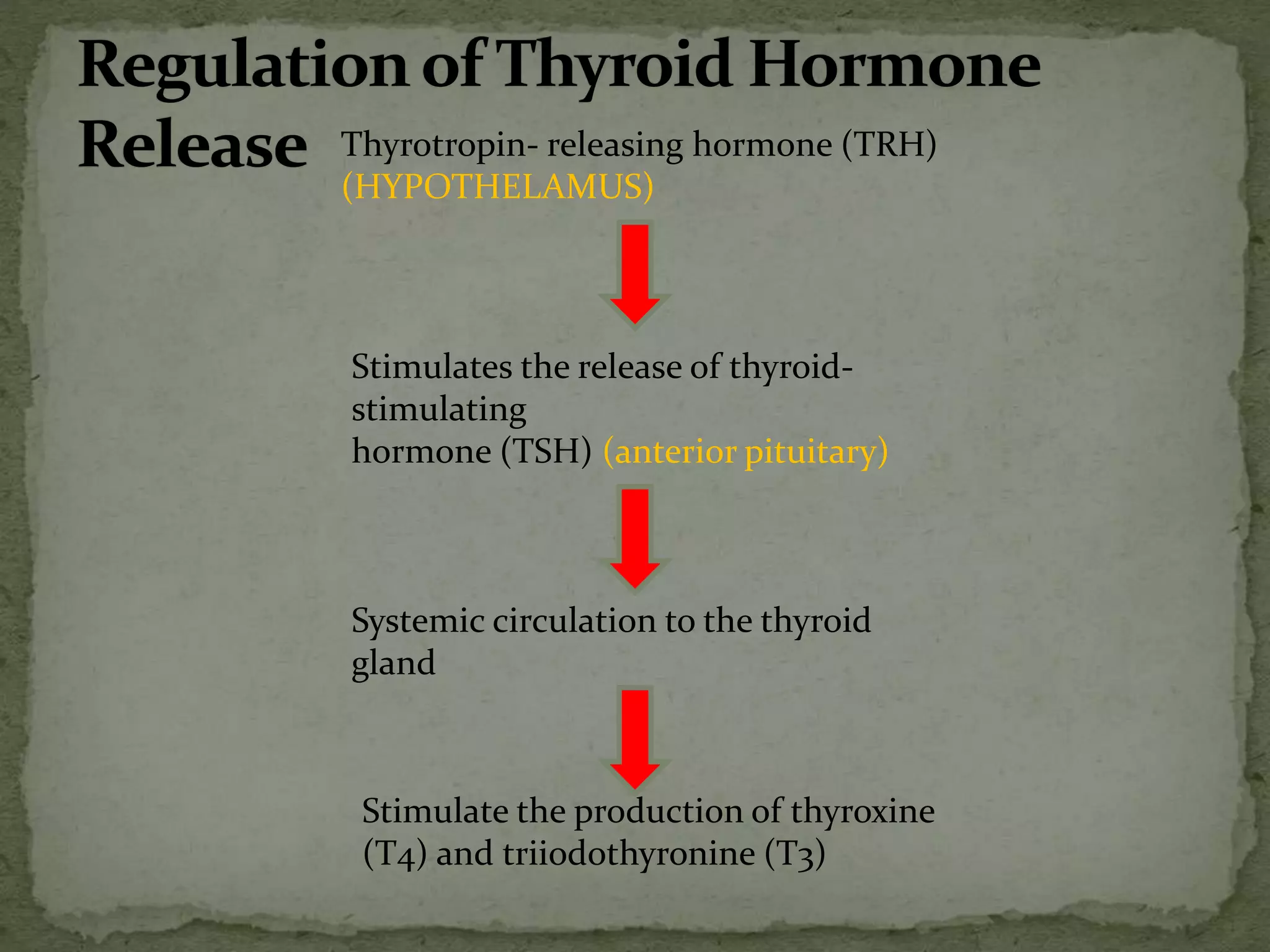 thyroid and parathyroid.pptx