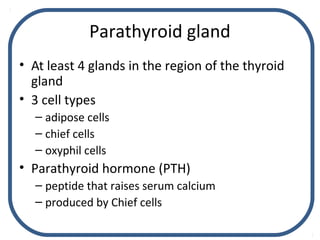 Thyroid and parathyroid glands - Julie Cornish | PPT