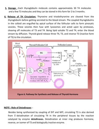 THYROID AND PARATHYROID GLAND BY HARSHAL | PDF