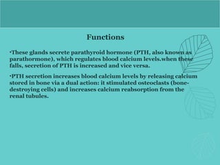 Thyroid glands and parathyroid gland.pptx