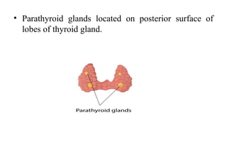 Thyroid and Parathyroid grossing | PPTX