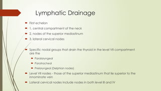 Thyroid and Parathyroids———————————————— | PPTX