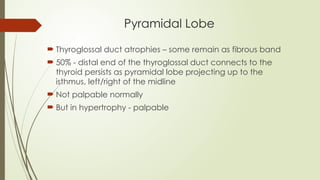 Thyroid and Parathyroids———————————————— | PPTX