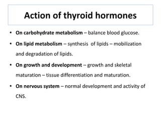 The thyroid gland, a butterfly-shaped pd | PDF