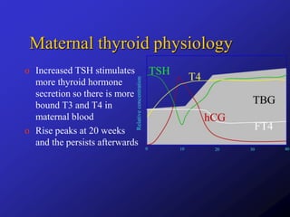 Thyroid and pregnancy | PPTX
