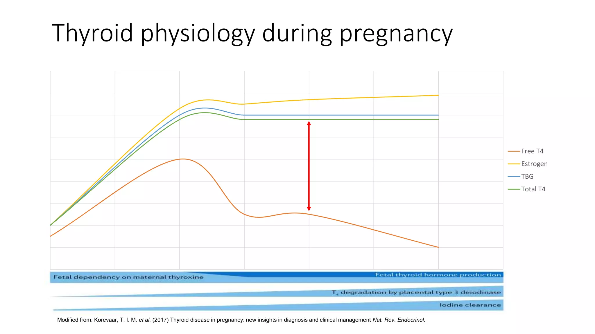 Thyroid and Pregnancy, Review of Physiology | PPTX