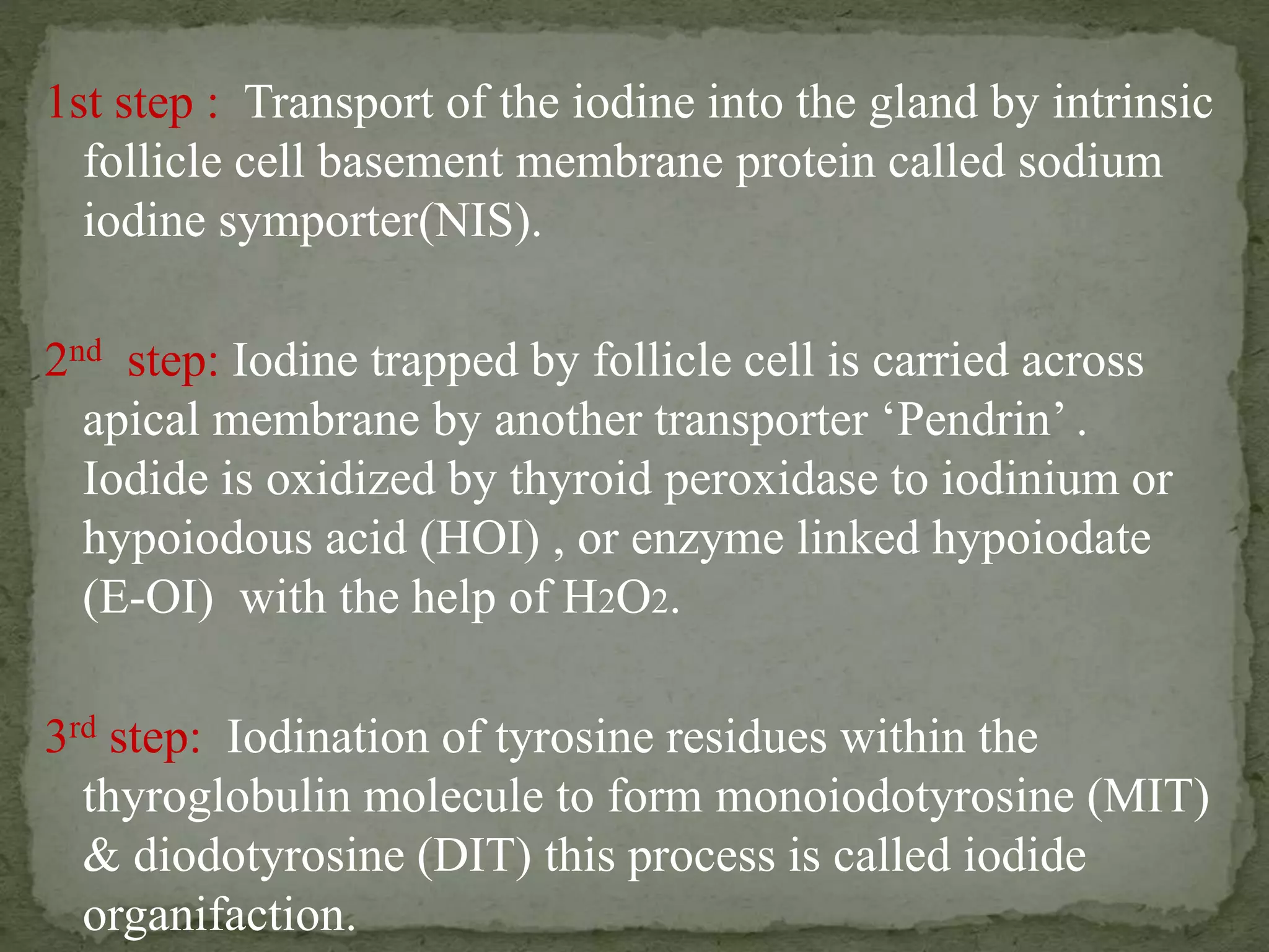 Thyroid & antithyroid drugs | PPTX
