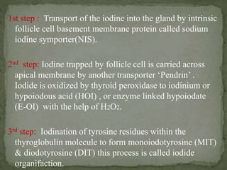 Thyroid & antithyroid drugs | PPTX
