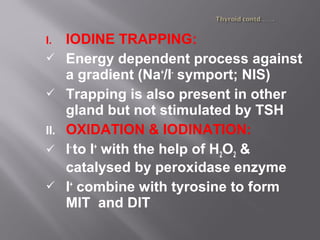 Thyroid & antithyroid drugs | PPT