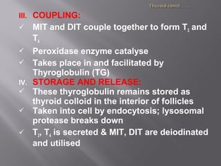 Thyroid & antithyroid drugs | PPT