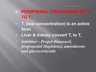 Thyroid & antithyroid drugs | PPT