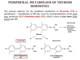 THYROID & ANTI THYROID AGENTS | PDF