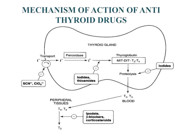 THYROID & ANTI THYROID AGENTS | PPT