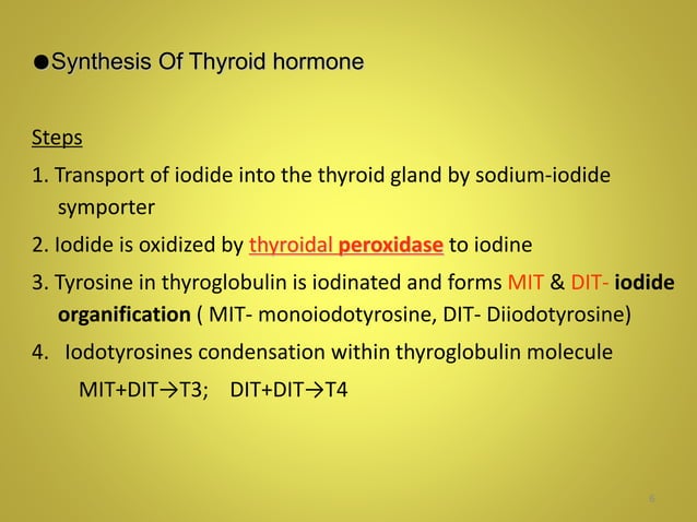Thyroid & antithyroid drug | PPTX | Thyroid Disorders | Endocrine and ...
