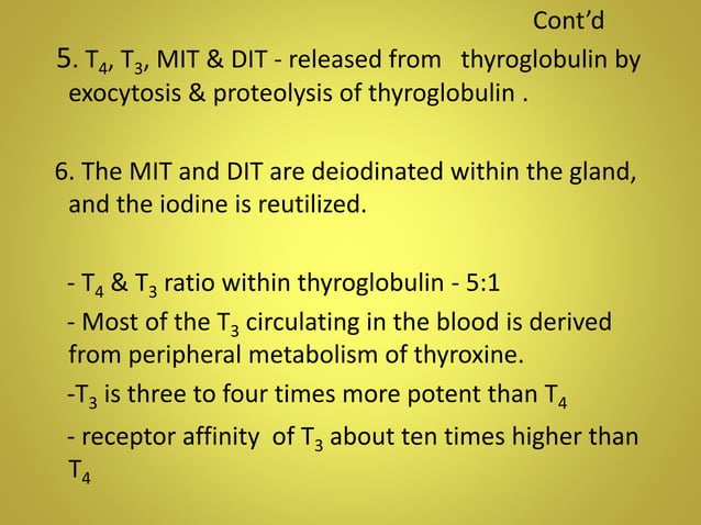 Thyroid & antithyroid drug | PPTX | Thyroid Disorders | Endocrine and ...