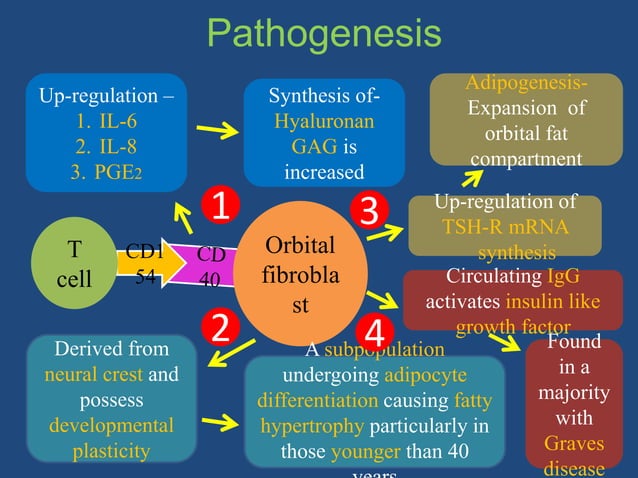 Thyroid associated orbitopathy of dr. sohel mahmud | PPTX