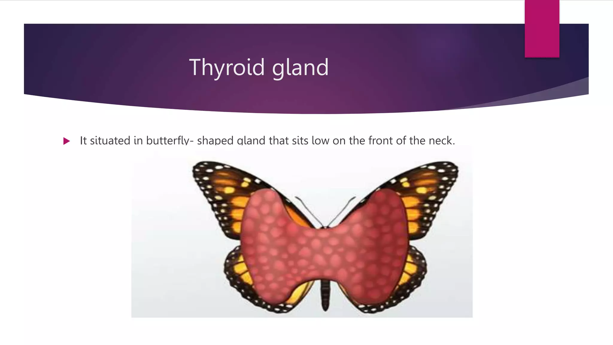 thyroid awarness.pptx