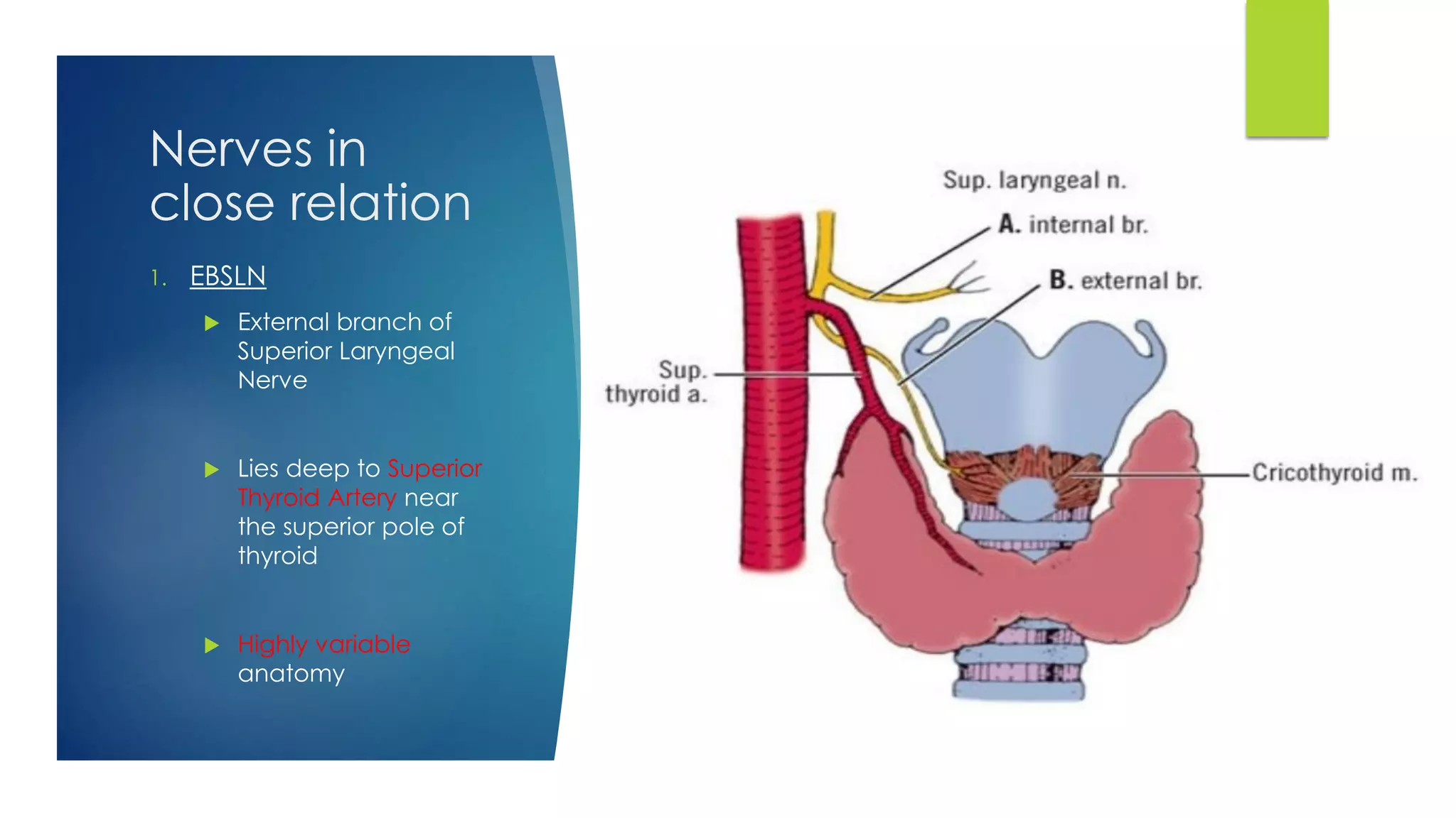 Thyroid basics and benign diseases | PDF