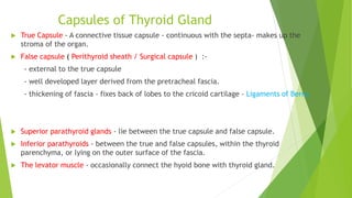 Thyroid Cancer | PPTX