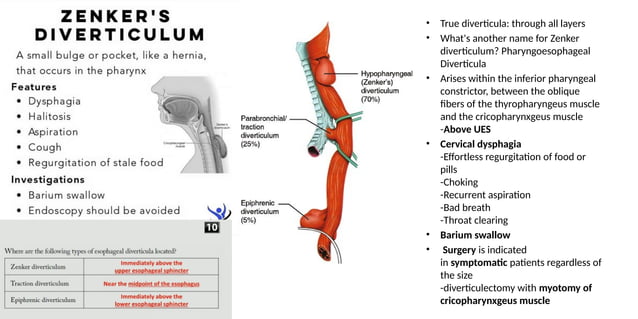 surgery -thyroid cancer and esophagus.pptx | Thyroid Disorders | Endocrine and Metabolic Diseases