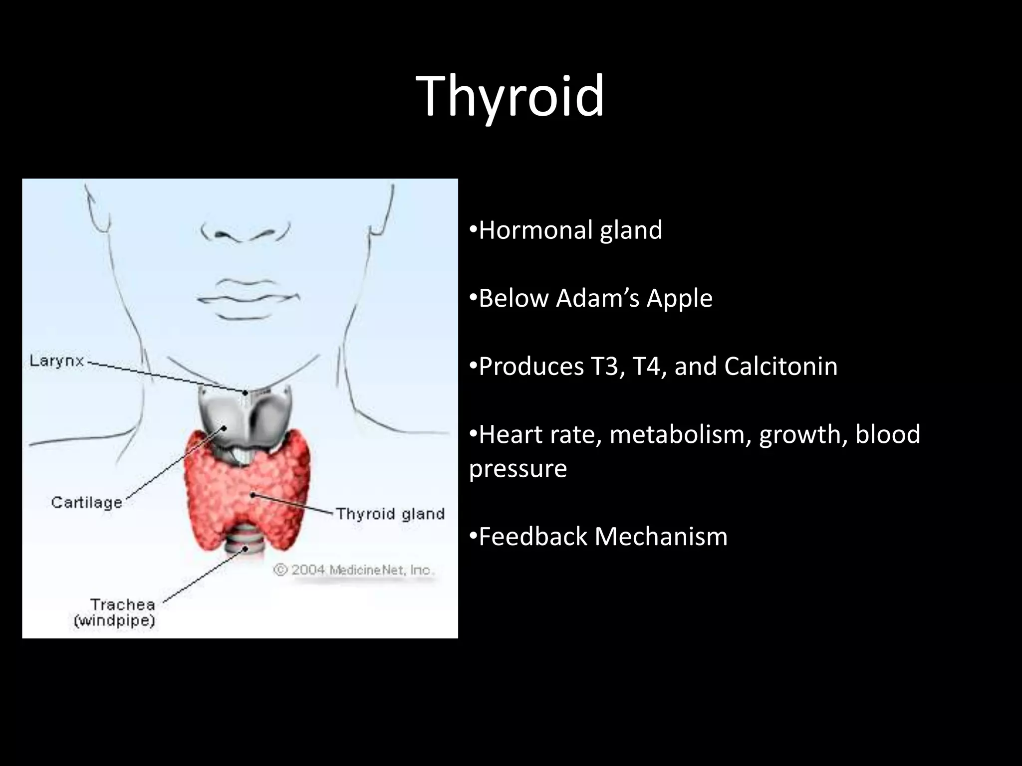 Thyroid Cancer Ppt Pptx Thyroid Disorders Endocrine And Metabolic Diseases