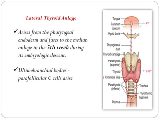 Thyroid Carcinoma.01