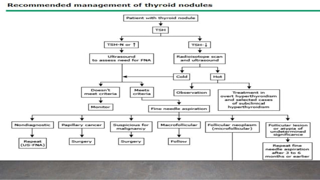 Cytohistological Correlation Of Malignant Thyroid Lesions | PPT