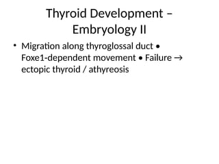 thyroid_detailed_full_presentation111.pptx