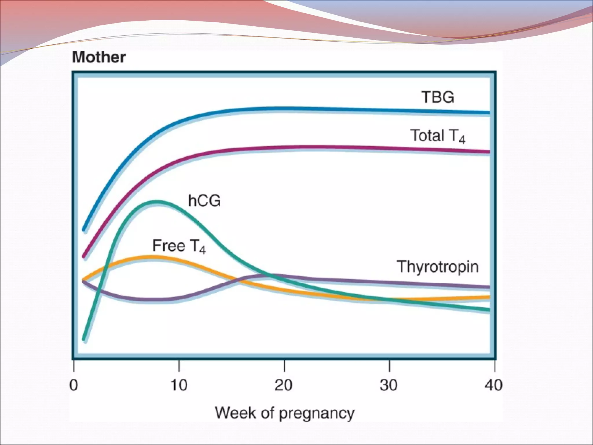 Thyroid diseases in pregnancy | PPT