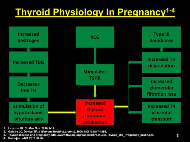 THYROID DISEASES IN PREGNANCY BY DR SHASHWAT JANI | PDF