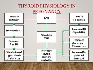 THYROID DISORDER IN PREGNANCY -Kamal.pptx