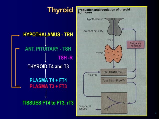 Thyroid disorders (hyperthyroidism & hypothyroidism) | PDF