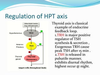 Thyroid disorders ---hypo | PPT