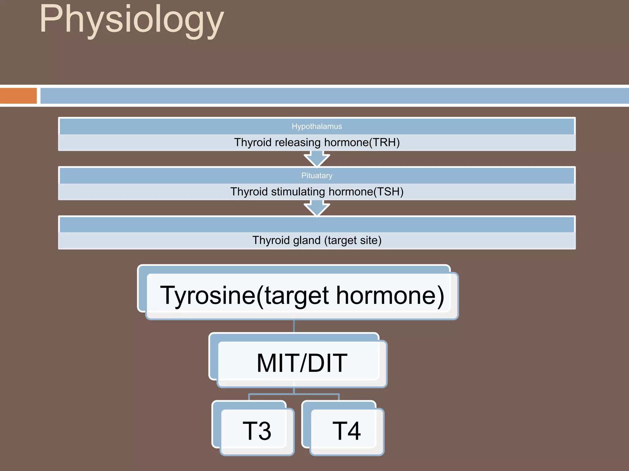 Thyroid disorders | PPTX