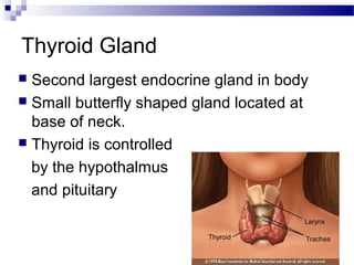 Thyroid disorders | PPT