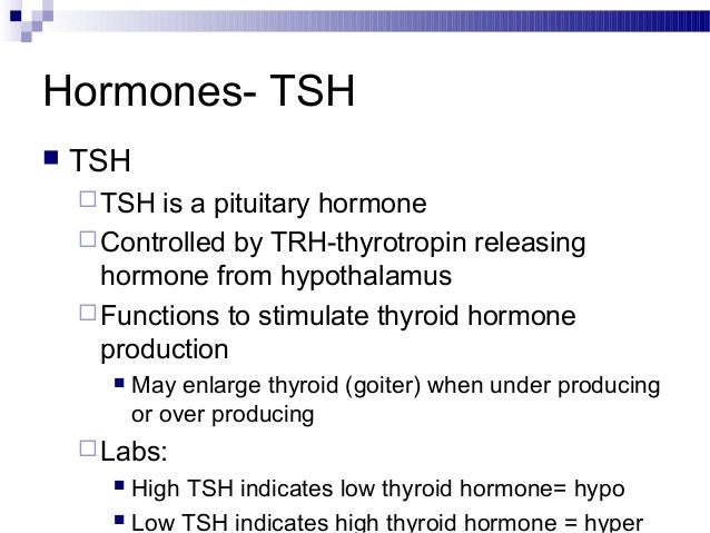 Tsh Elevated What Does It Mean Possible Causes And Main
