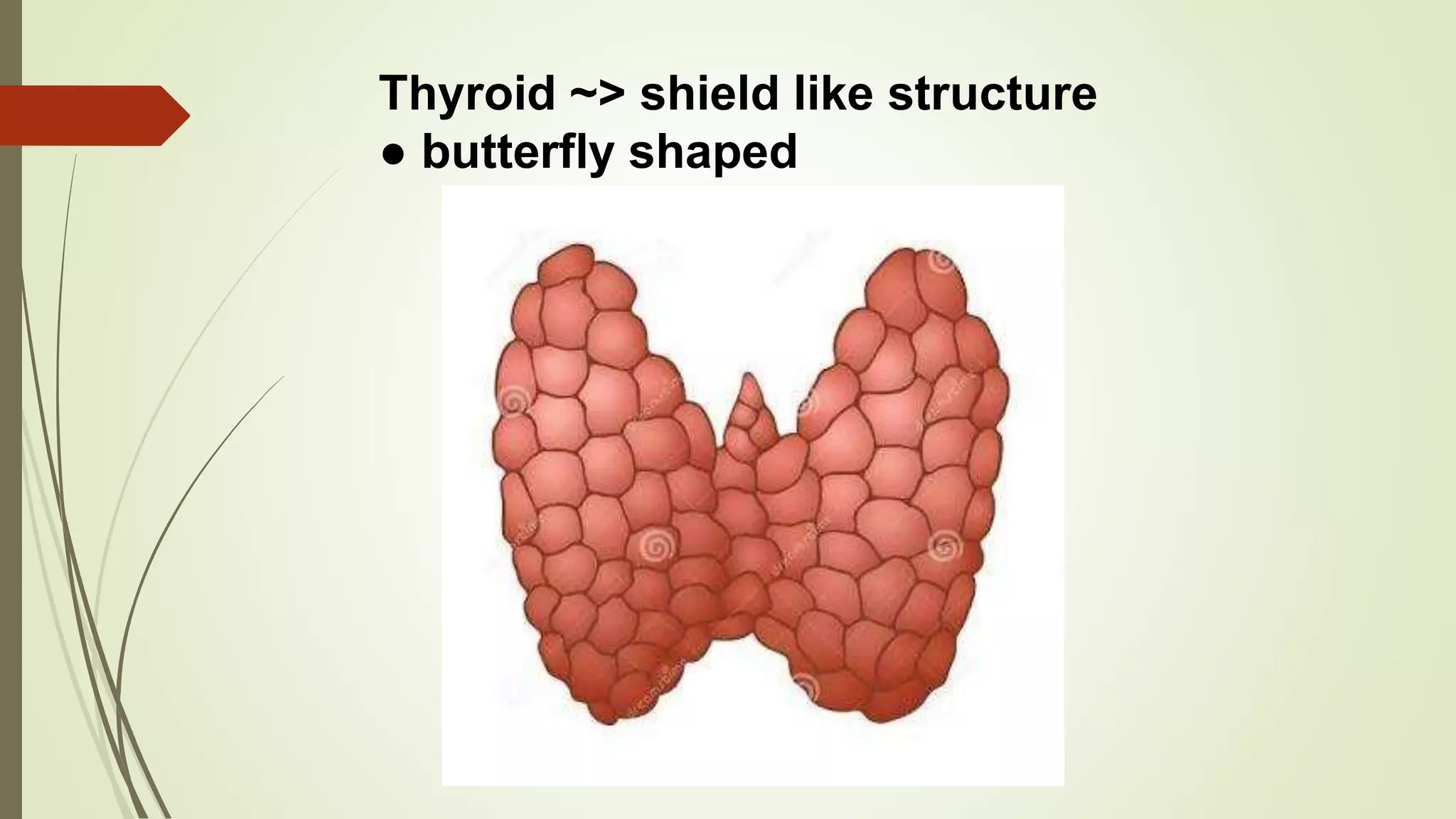 Thyroid disorder's | PPTX