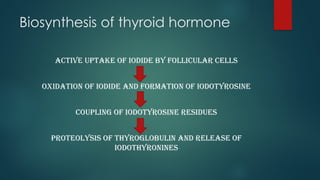ThyroidDrugsPresentation1 of Thyroid drugs.pptx