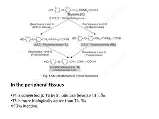 Thyroid dysorder in ckd | PPTX