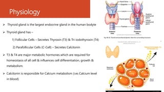 Perioperative Management of Hyperthyroidism with Goitre for Total ...