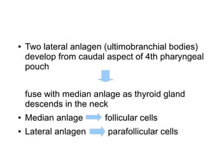 Thyroidectomy | ODP