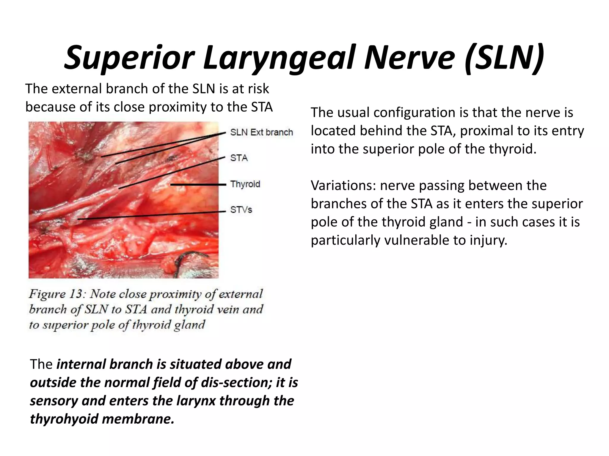 thyroidectomy notes.pptx